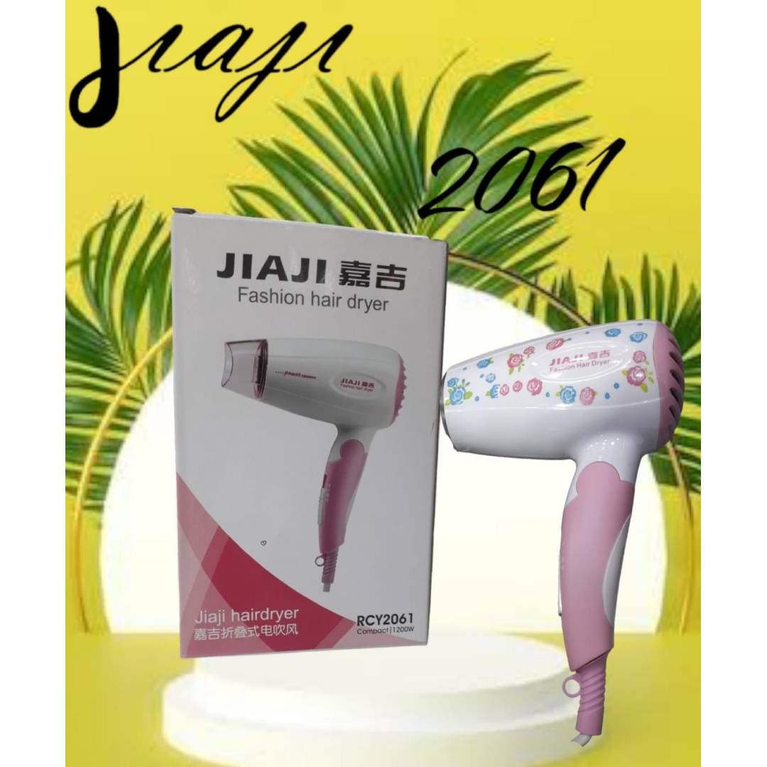 Jiaji Fashion Hair Dryer RCY2061 – BnG Store